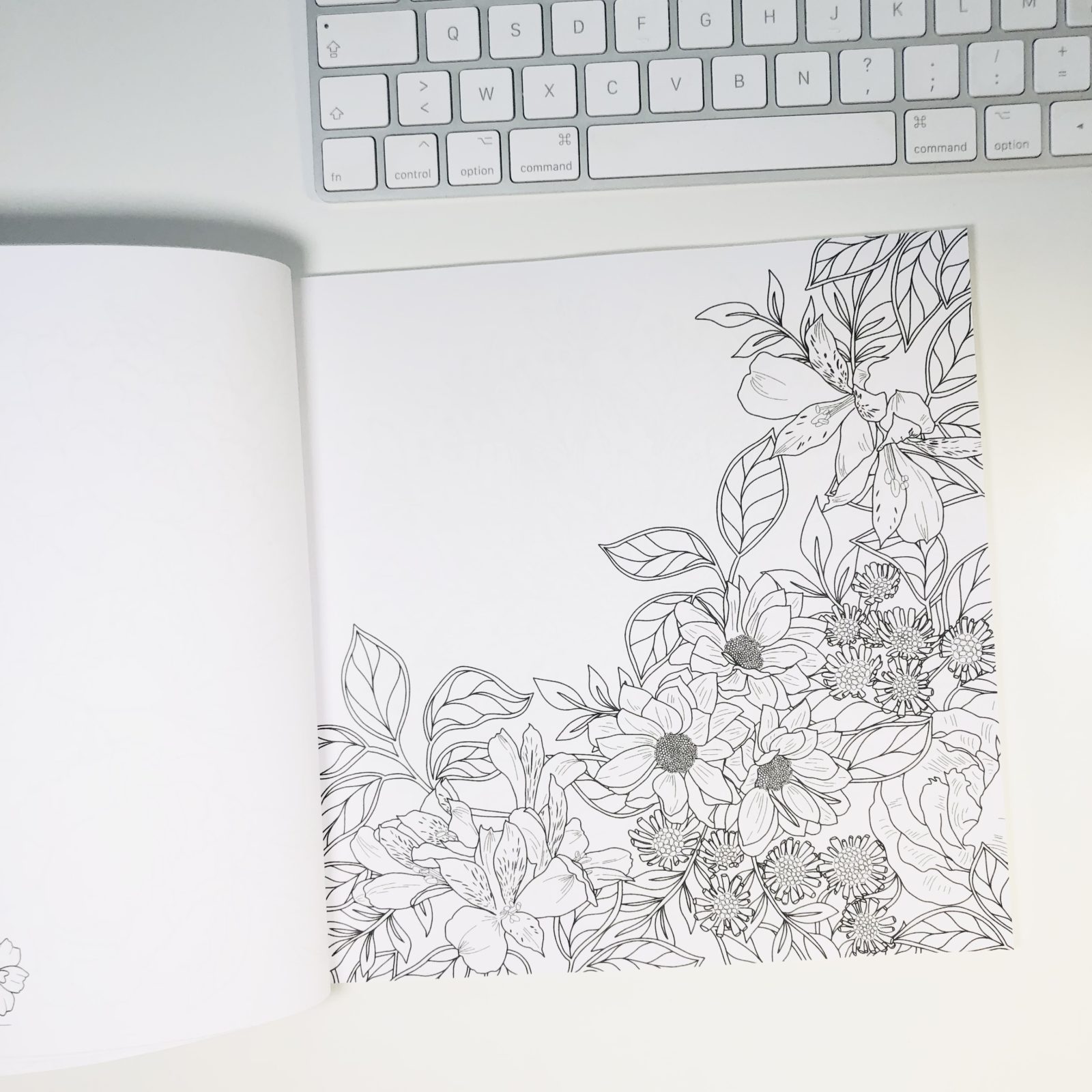 A world with flowers: my first floral coloring book - elliladesigns.com